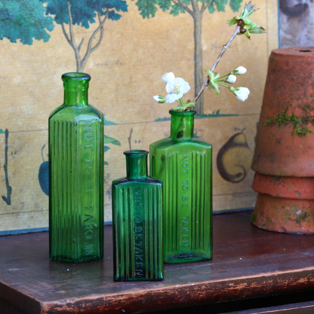 Vintage Extra Large Jars | Dee Puddy